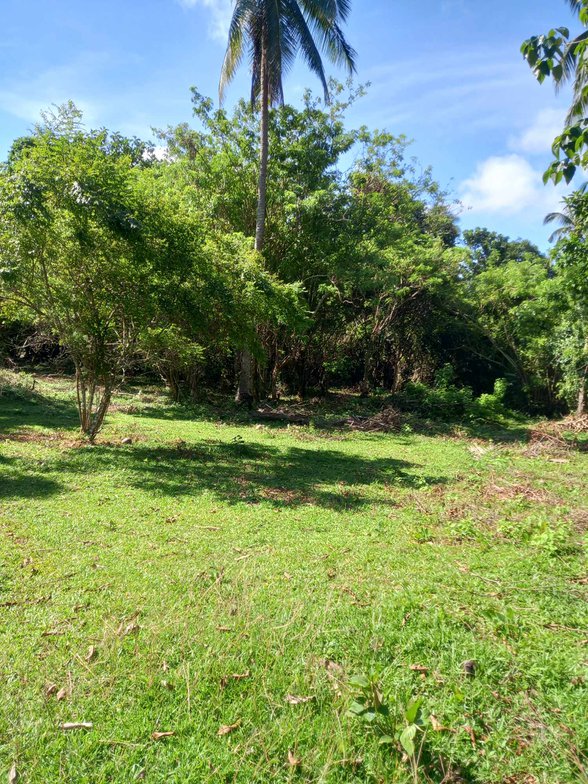 Ilog Sa Indang Cavite [11,103 Properties] (January 2024) on ...