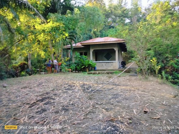 Agricultural Farm Lot For Sale Consolacion Cebu 🚜 [94 Properties ...