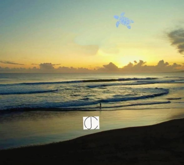 Beach Property For Sale Cateel Davao Oriental [1 Property] (April 2026 ...