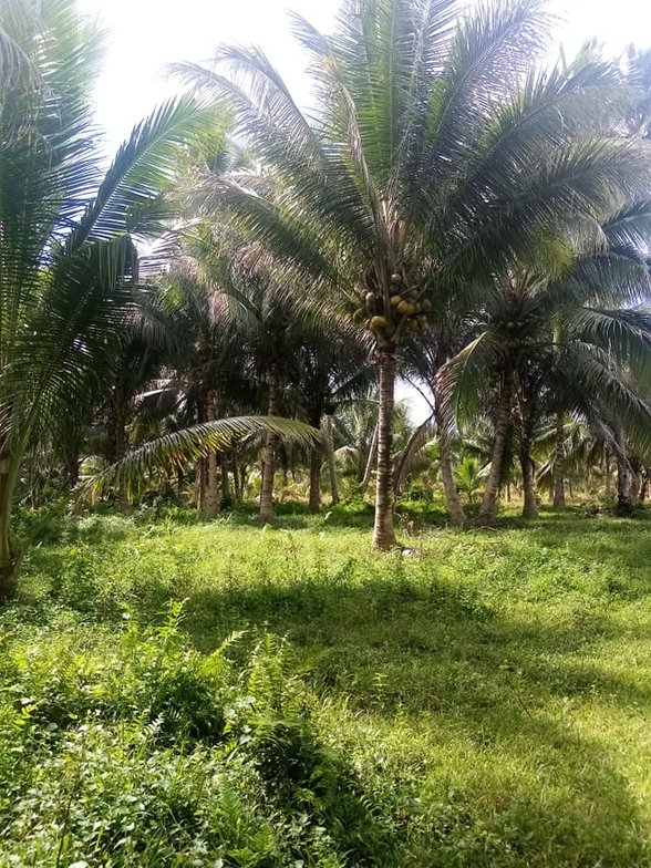 How Big Is 300 Square Meters Land 18 932 Properties August 2022 On