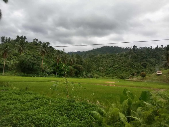 Magara Roxas Palawan [2,205 Properties] (September 2025) on ...