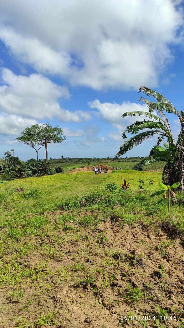 Toledo Silang [2,637 Properties] (June 2025) on OnePropertee.com