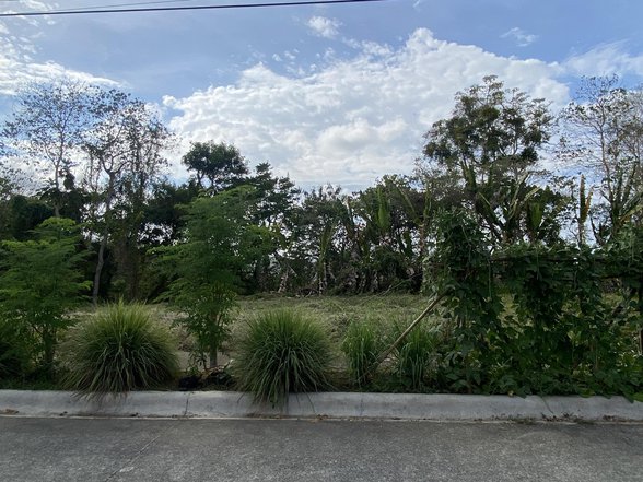 Affordable House And Lot For Sale Claveria Misamis Oriental [79,689 ...