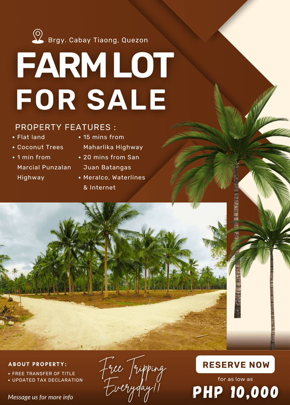 Samaras Farm Tayabas Quezon [236 Properties] (January 2025) on ...
