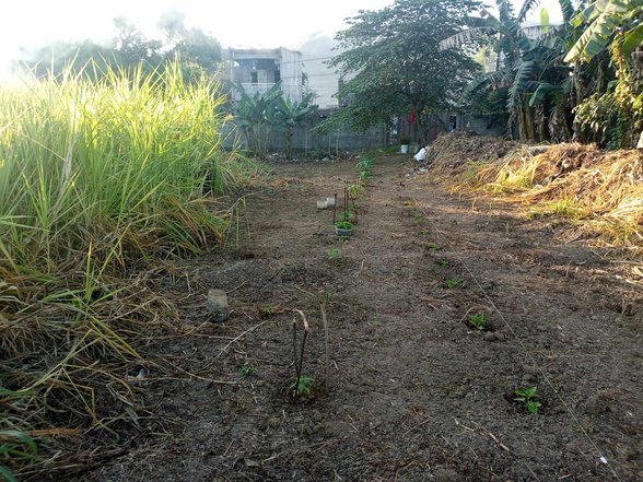 La Jolla Subdivision Burgos Rizal Rodriguez Photos [35,445 Properties ...