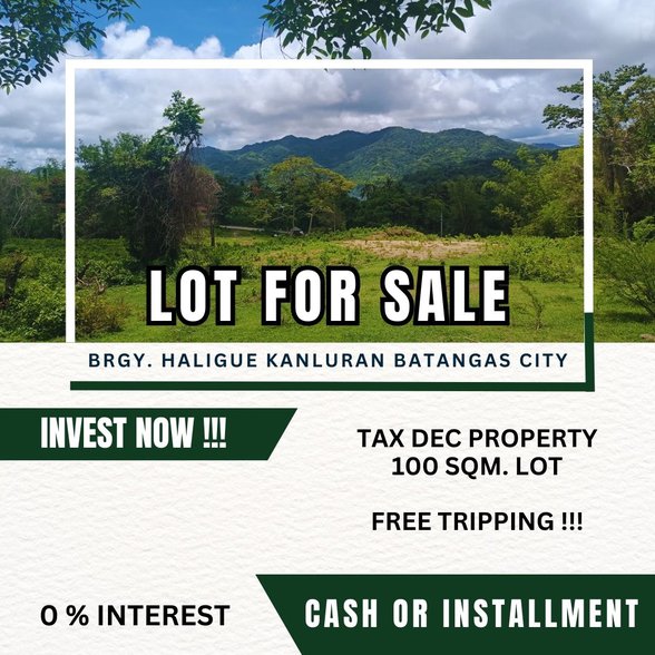 Residential Farm Lot For Sale Padre Garcia Batangas [251 Properties ...