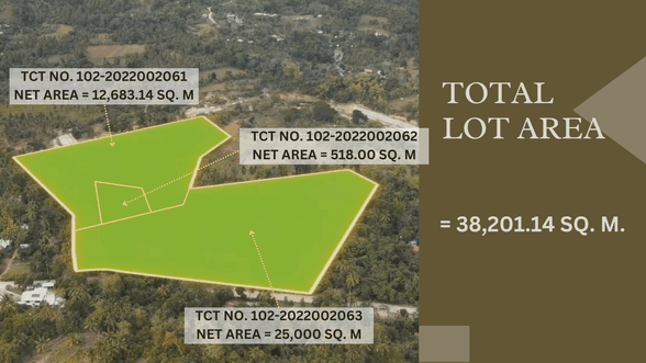 Argao Tree In The Philippines [17,648 Properties] (May 2024) on ...