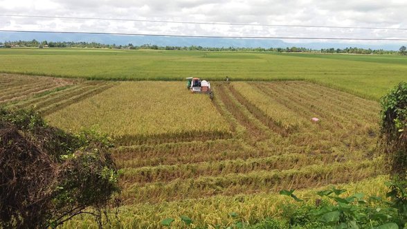 How Much Is A Rice Field In The Philippines [19,805 Properties ...