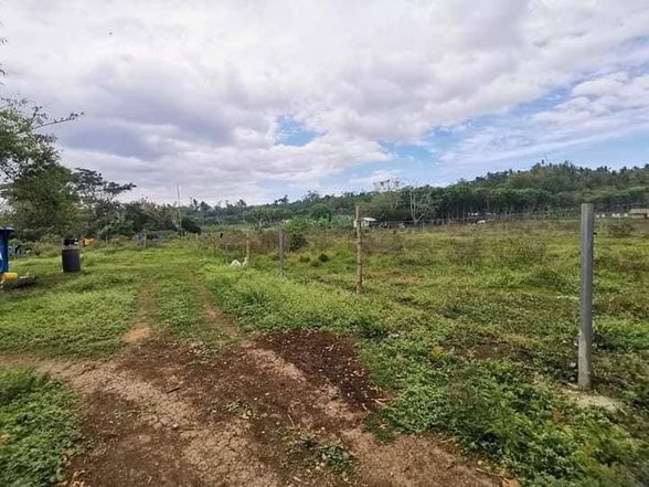 Foreclosed Farm Lot For Sale Lipa Batangas [62 Properties] (May 2022 ...
