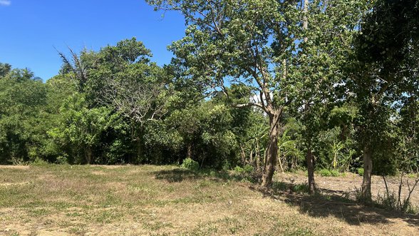 Authorization Letter To Pay Amilyar [5,357 Properties] (June 2025) on ...