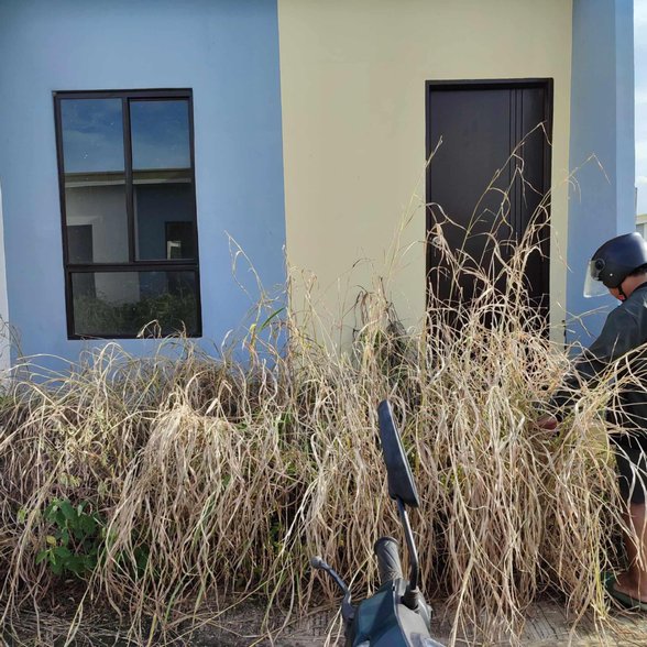 Deca Envira Pacol Properties For Sale Camarines Sur [115 Properties ...