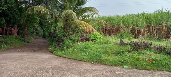 Bolbok Tuy Batangas [4,366 Properties] (January 2024) on OnePropertee.com