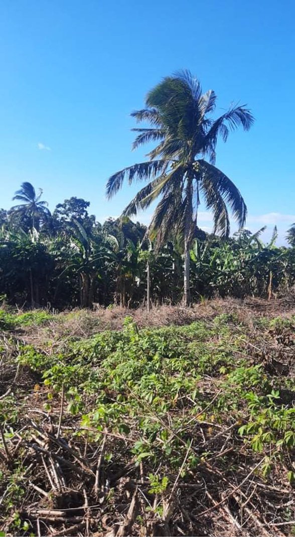 Farm Lot With River For Sale Philippines [85 Properties] (April 2023 ...