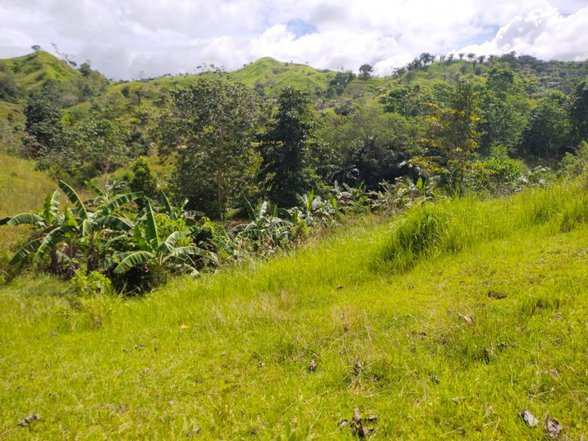 How Big Is 34 Hectares [5,766 Properties] (March 2025) on OnePropertee.com