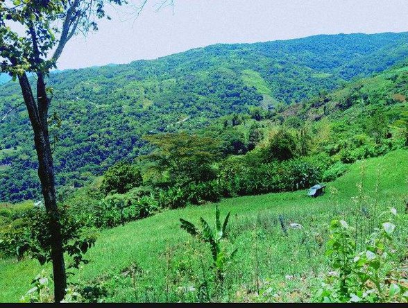 House And Lot For Sale Impasugong Bukidnon [59,118 Properties] (March ...