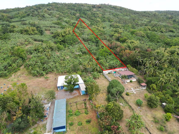 Tanuan Park Place Properties For Sale Tanauan Batangas [2,392 ...