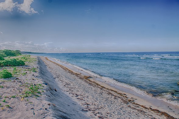 Beach Property Oras Eastern Samar [42,618 Properties] (April 2025) on ...