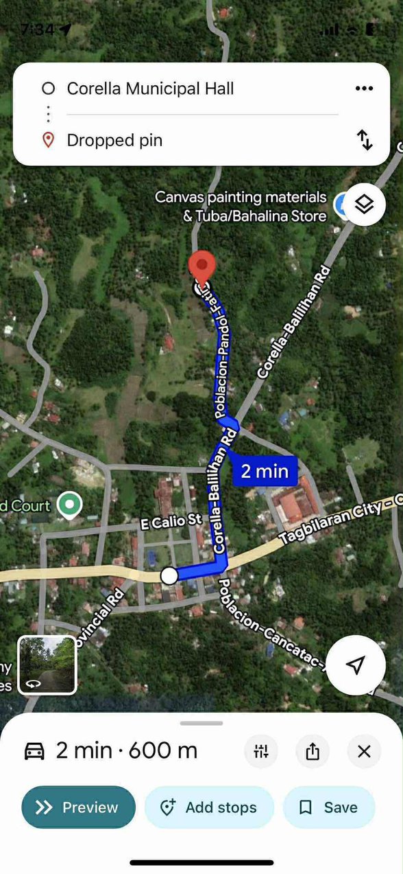 Affordable Lot For Sale Corella Bohol [7 Properties] (May 2026) on ...