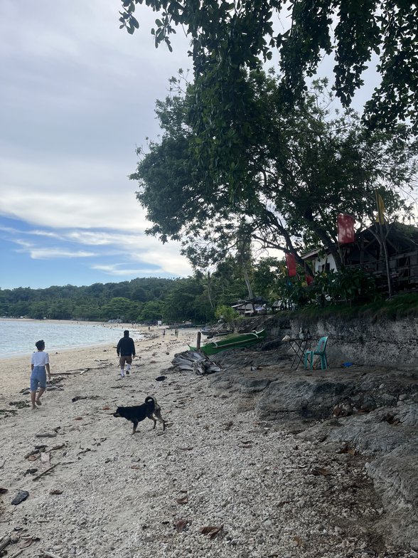 Beach Property For Sale Lingig Surigao Del Sur [65,079 Properties ...