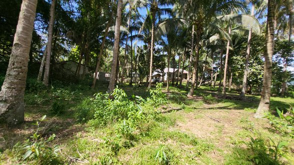 Residential Lot For Sale Baloi Lanao Del Norte [16 Properties ...