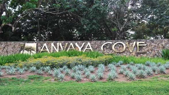 The Mango Grove Sachi [1,409 Properties] (November 2023) on OnePropertee.com