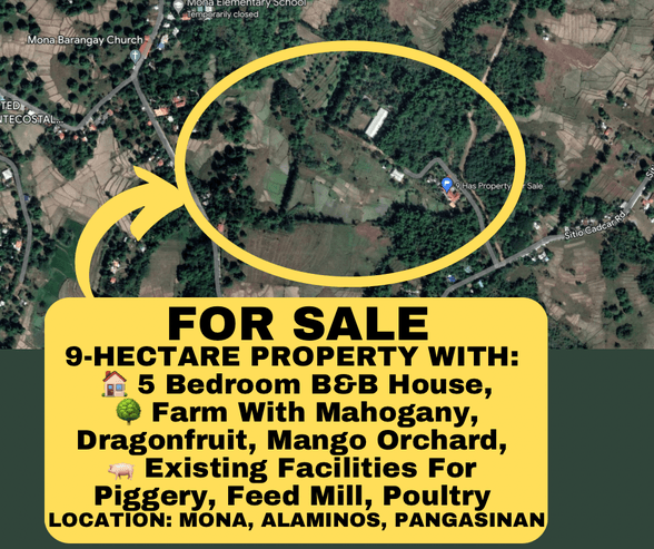 Agricultural Farm Lot For Sale Alaminos Pangasinan 🚜 [93 Properties ...