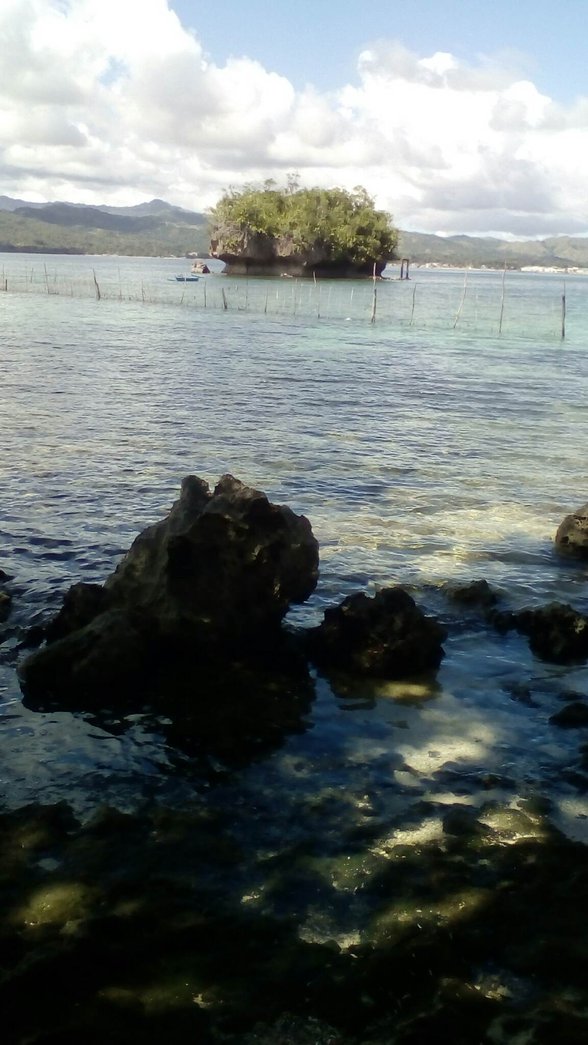 Basdio Guindulman Bohol Properties [3 Properties] (January 2025) on ...