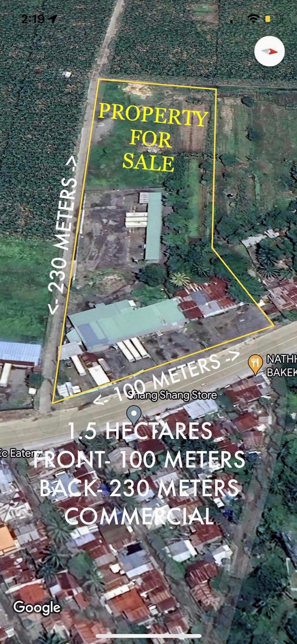 Commercial Property For Sale Braulio E Dujali Davao Del Norte [75,965 ...
