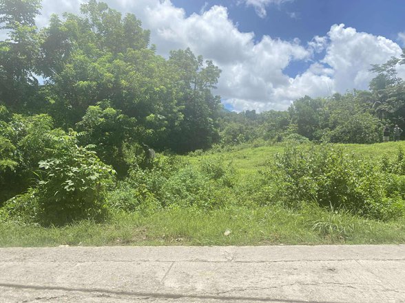 Busay Hiland Lot For Sale Cebu City [133 Properties] (July 2025) on ...