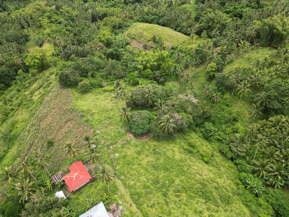 Negros Farm Lot For Sale Philippines [74 Properties] (May 2026) on ...