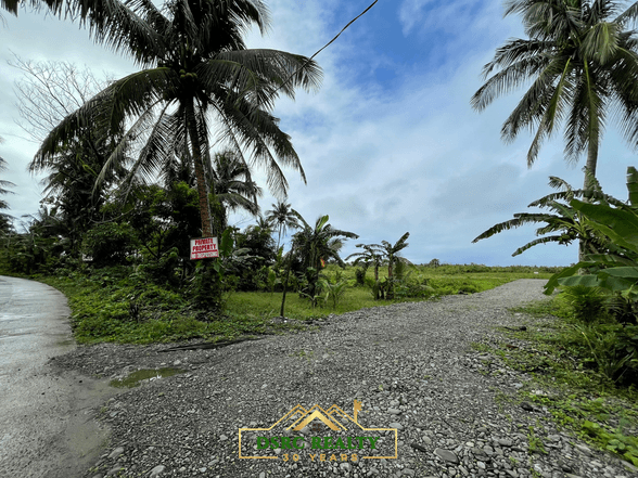 Lot For Sale Infanta Quezon [283 Properties] (April 2025) on ...