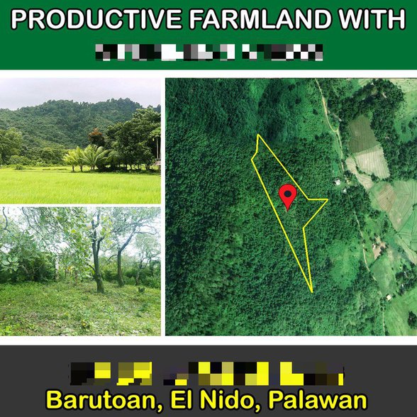 Residential Farm For Sale El Nido Bacuit Palawan [31 Properties] (April ...