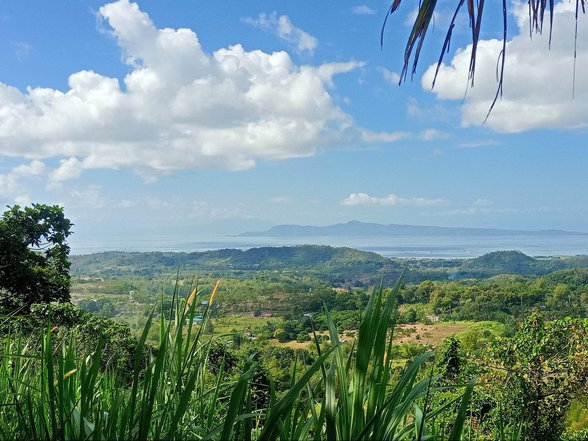 Commercial Lot For Sale Tanay Rizal 🚜 [60 Properties] (January 2024) on ...