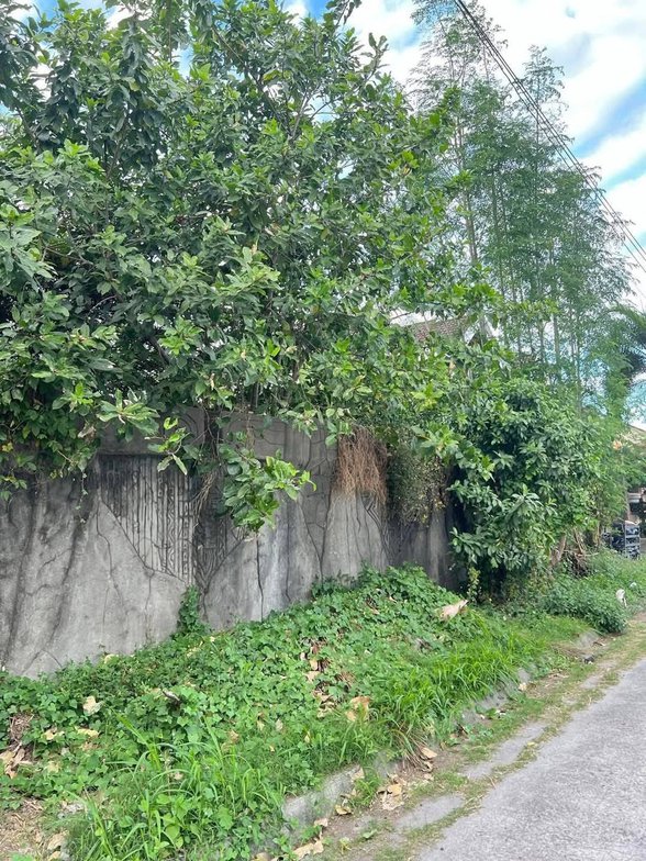 Holy Angel Village Lot For Sale San Fernando Pampanga [3,073 Properties ...