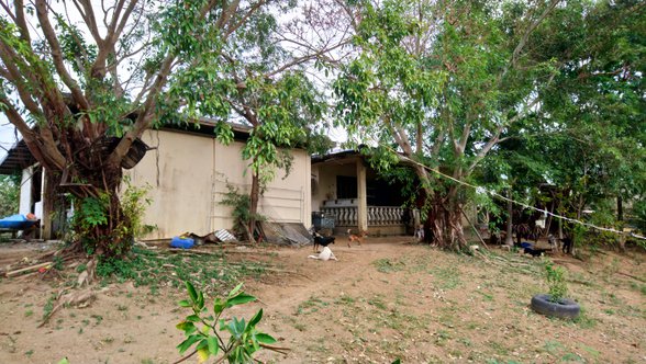 Biogas Piggery [128 Properties] (October 2023) on OnePropertee.com