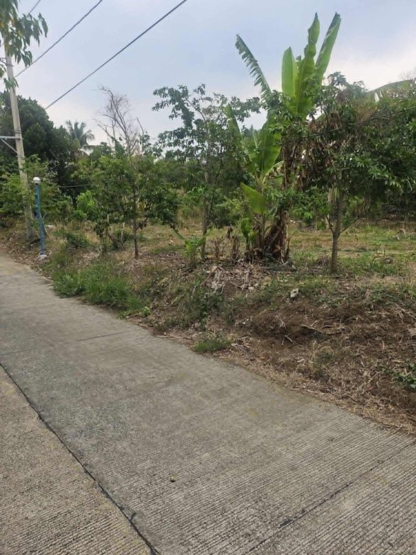 Farm Lot For Sale Cavite Economic Zone General Trias Cavite [303 ...