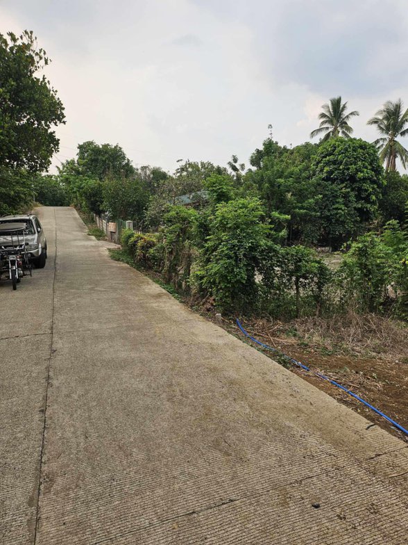 Residential Farm Lot For Sale Alfonso Cavite [593 Properties] (June 2025) on OnePropertee.com