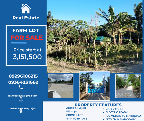 Farm Lot For Sale Indang Cavite [304 Properties] (November 2024) on ...