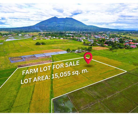 Agricultural Farm Lot For Sale Alviera Industrial Park Porac Pampanga ...