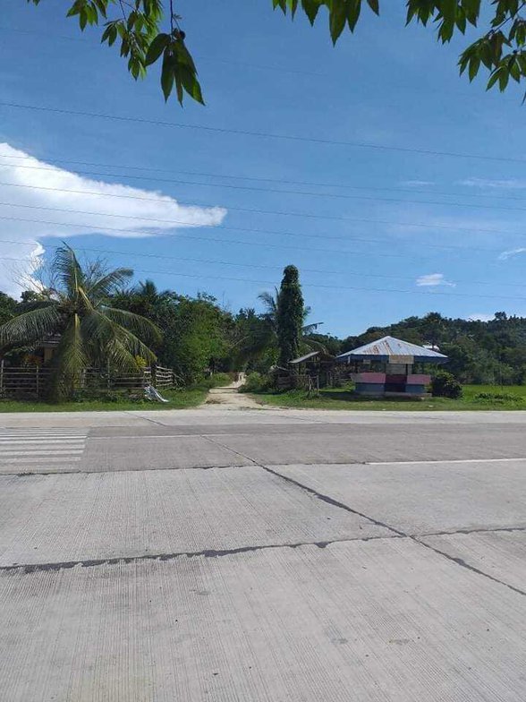 Green Island Roxas Palawan [39,152 Properties] (April 2024) on ...