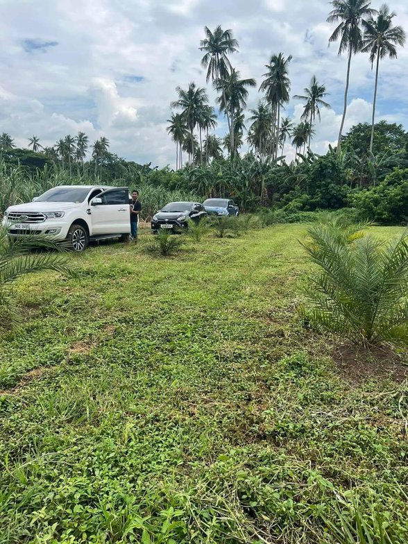 Foreclosed Farm Lot For Sale Quezon [50 Properties] (May 2023) on ...