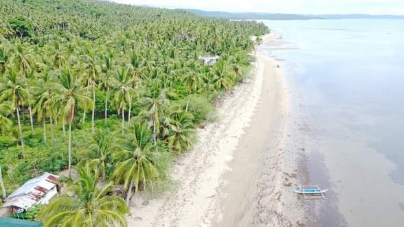 Burgis Mangrove Beach Resort [3,753 Properties] (November 2022) on ...