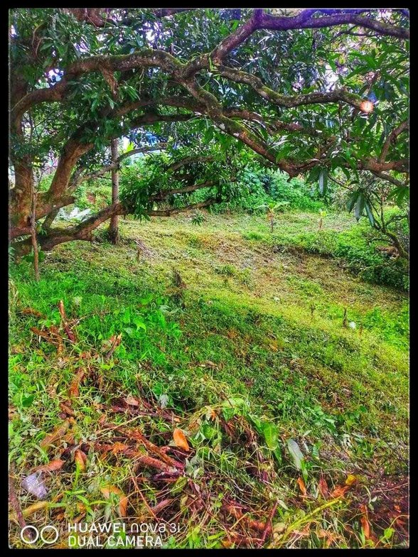 Mini Palawan Norzagaray Bulacan [3,958 Properties] (May 2023) on ...