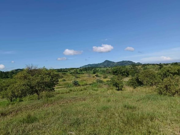 Capas Umingan Pangasinan Properties [9 Properties] (January 2026) on ...