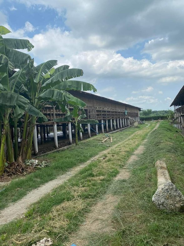 Agricultural Farm Lot For Sale Candaba Pampanga [83 Properties] (May ...