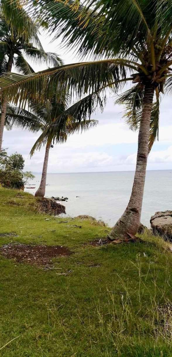 Beaches In Pantukan Davao De Oro [10,132 Properties] (June 2024) on ...