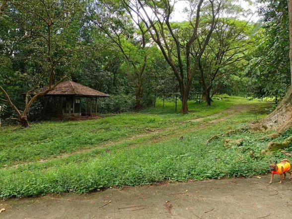 Spider Web Tanay Rizal [5,961 Properties] (July 2024) on OnePropertee.com