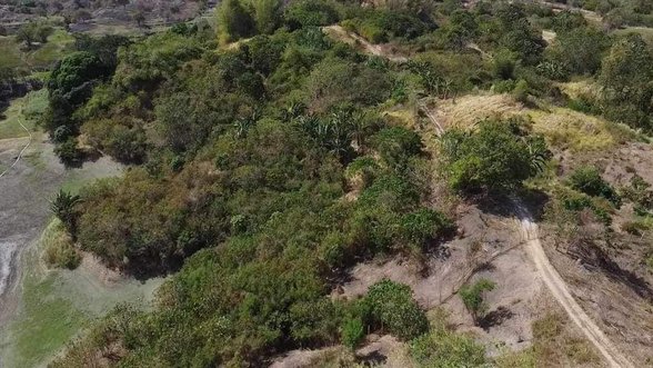 Agricultural Farm Lot For Sale Talugtug Nueva Ecija [73 Properties ...