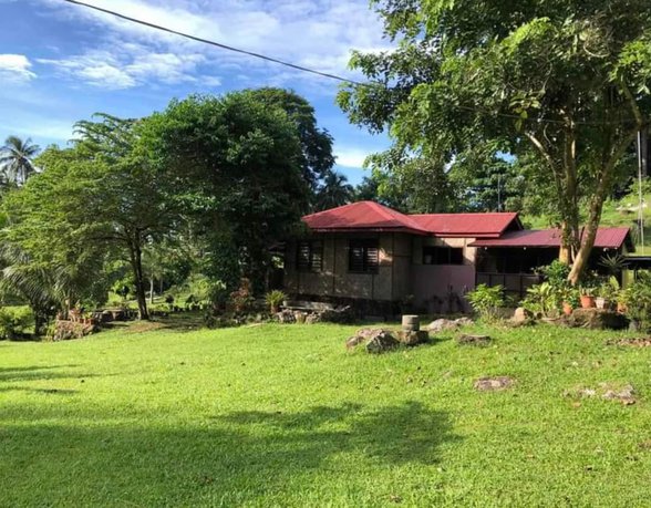 Agricultural Farm Lot For Sale Dauin Negros Oriental 🚜 [12 Properties ...