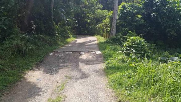 Mini Palawan In Bulacan [5,581 Properties] (May 2024) on OnePropertee.com